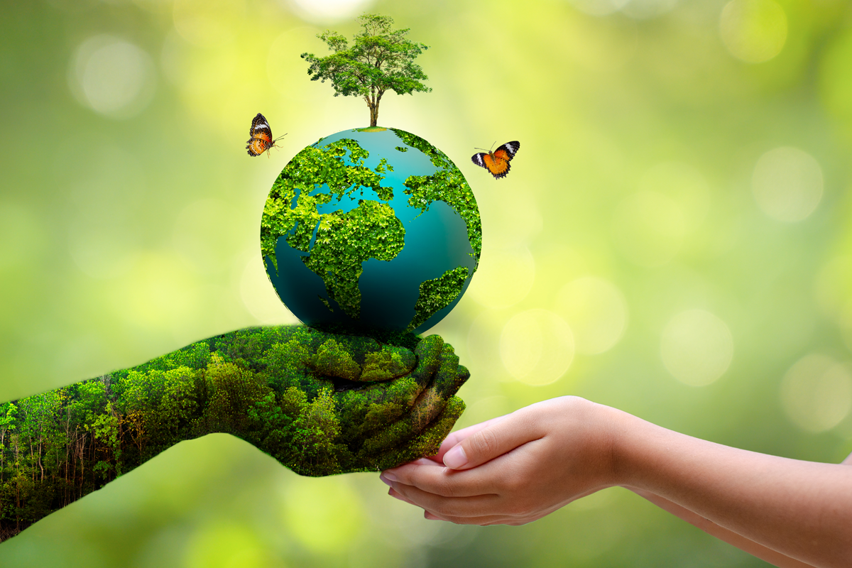 Celebrating World Environment Day, promoting sustainability ...
